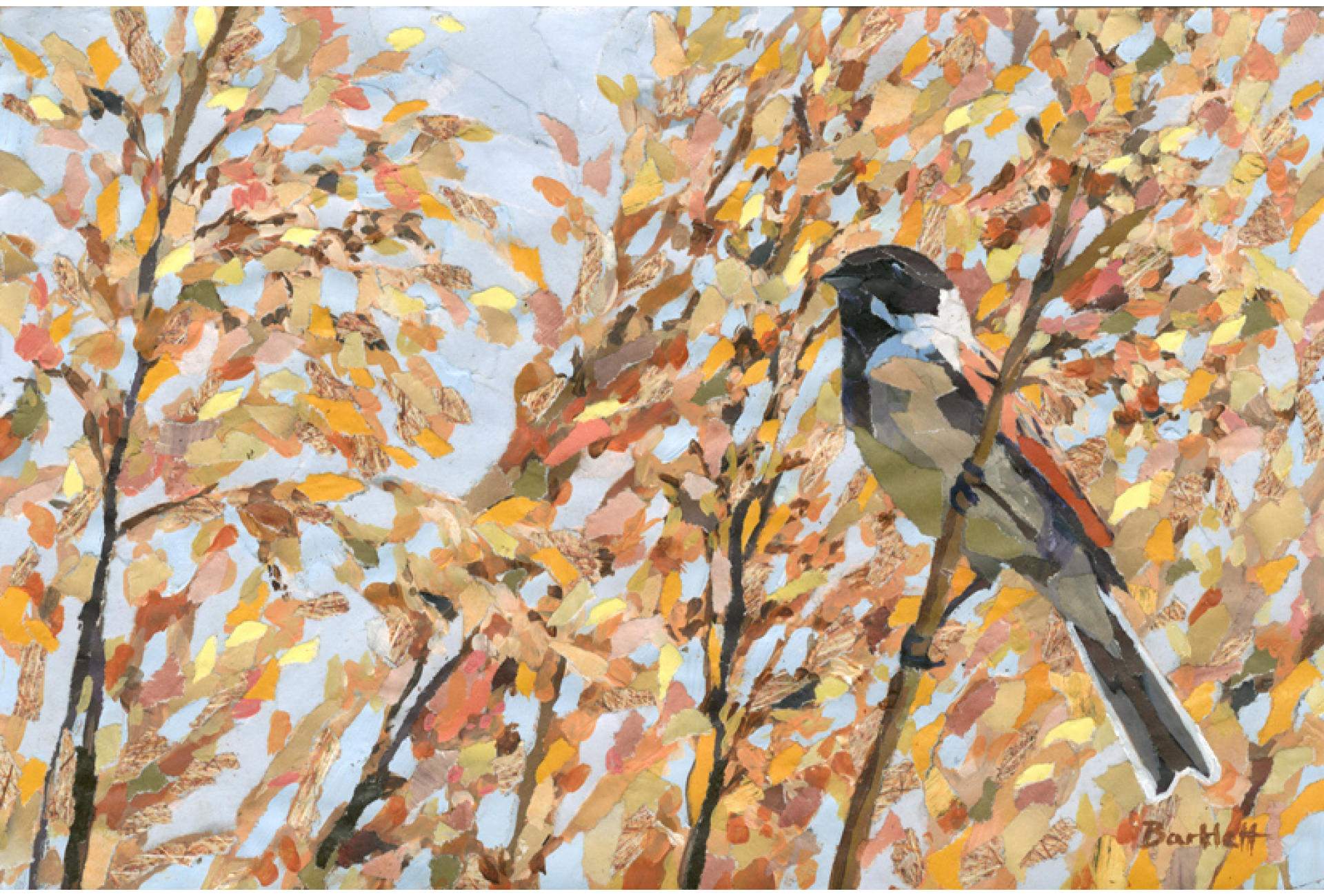 The Wild Space Visitor Centre | About Us | John Muir Trust