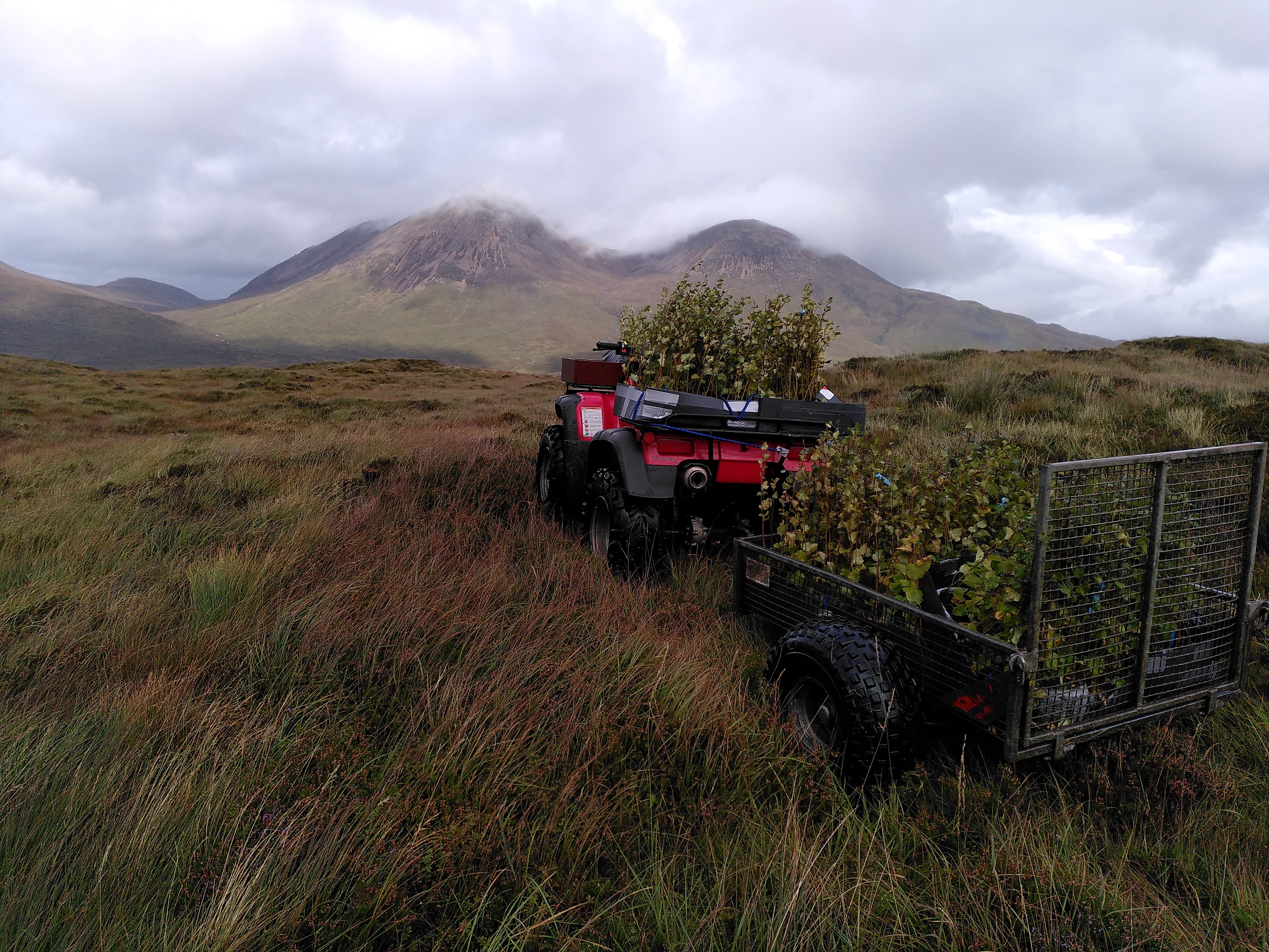Field Notes: Establishing Skye's newest woodland