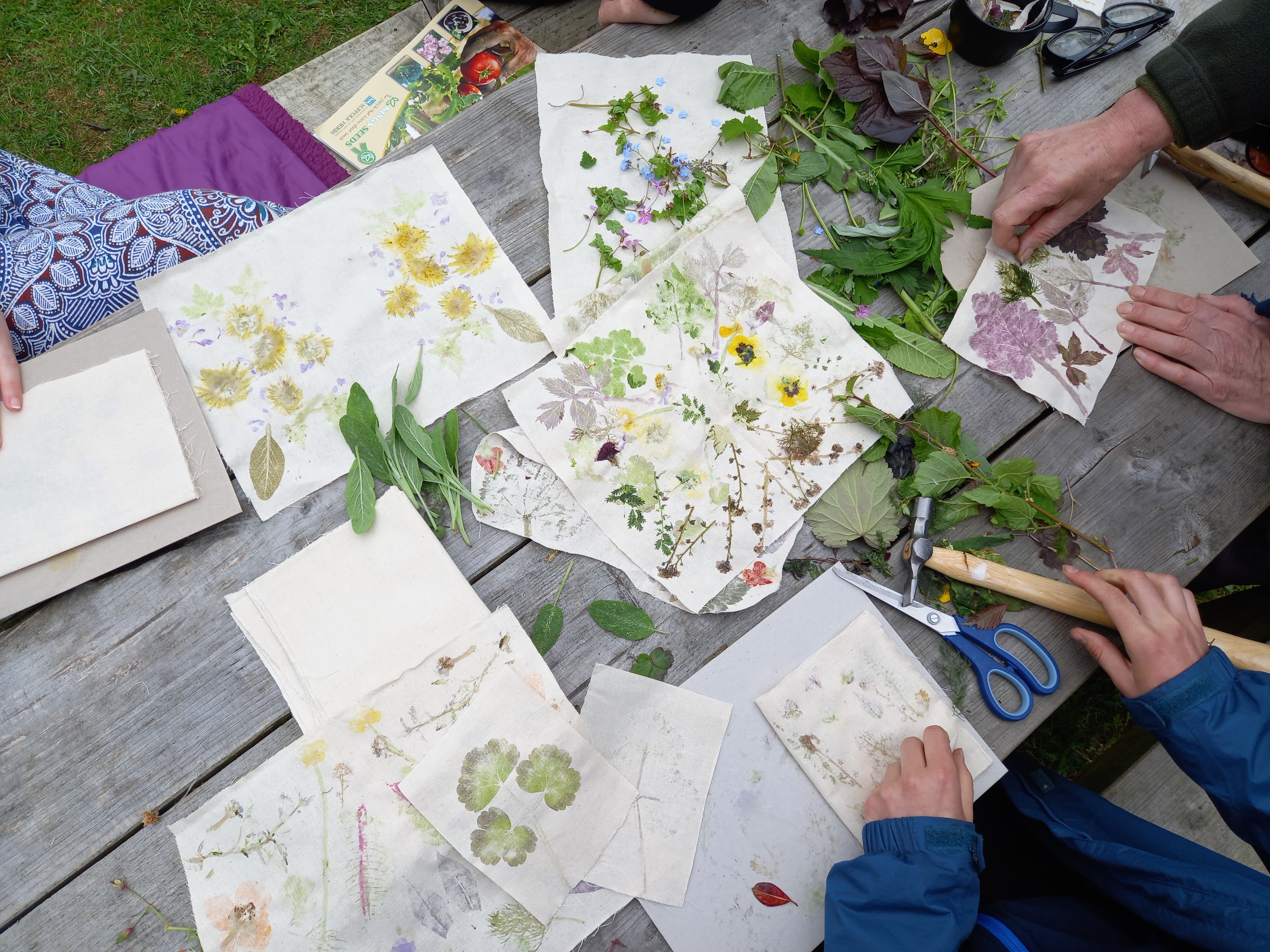 Field Notes: Nature as a blueprint for recovery