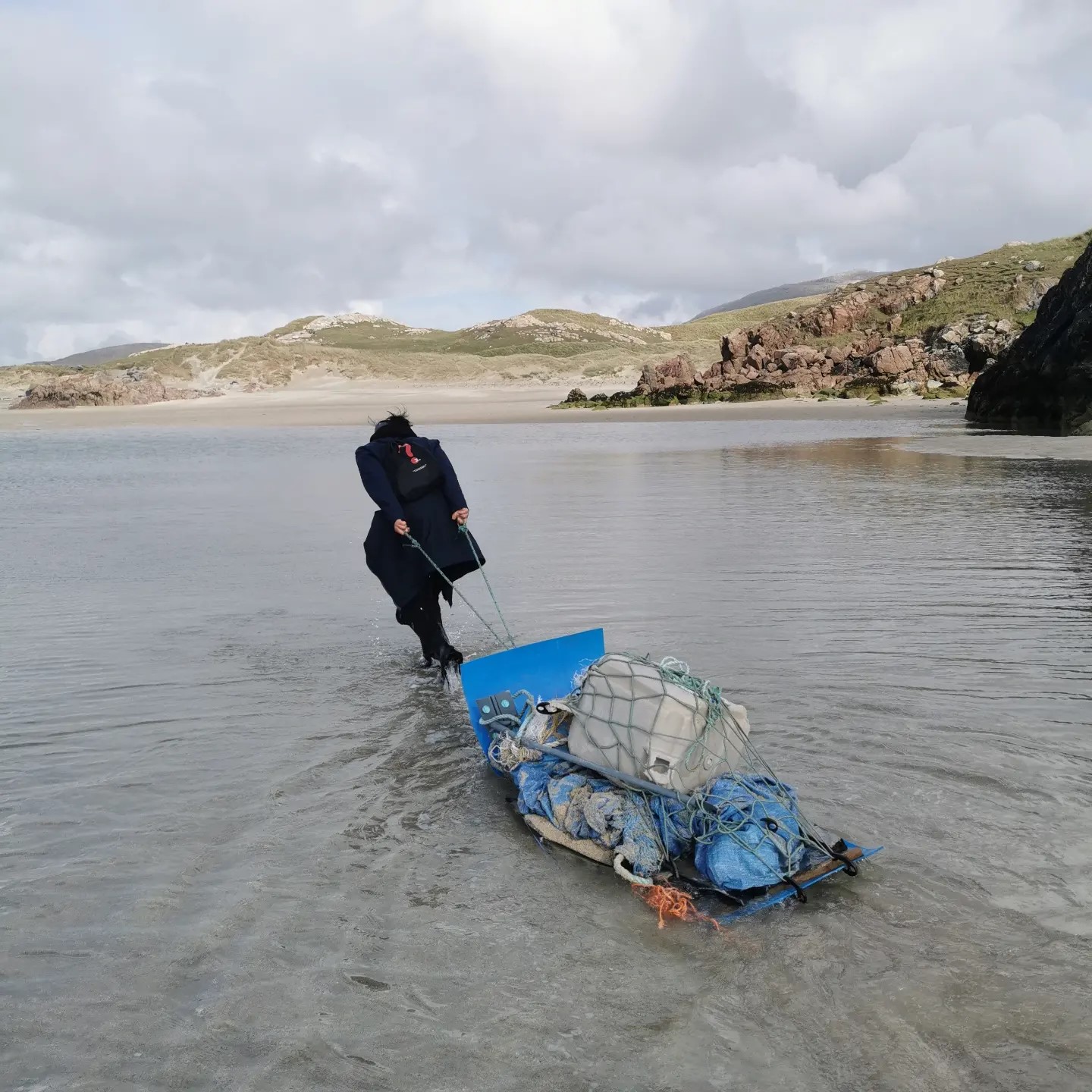 Grant supports research, advocacy and action for wild places