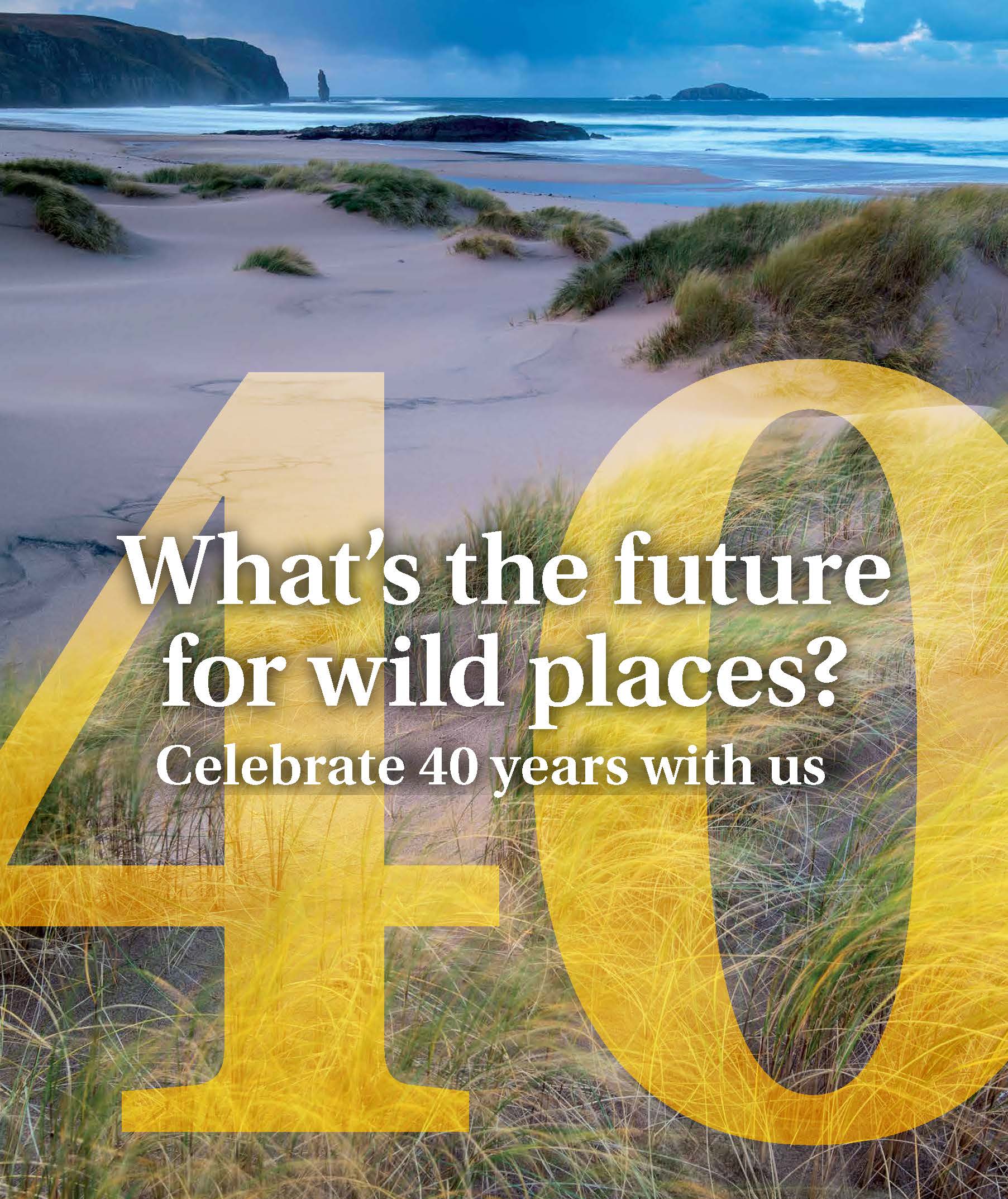 Celebrating our 40th Anniversary: exhibition in Wild Space