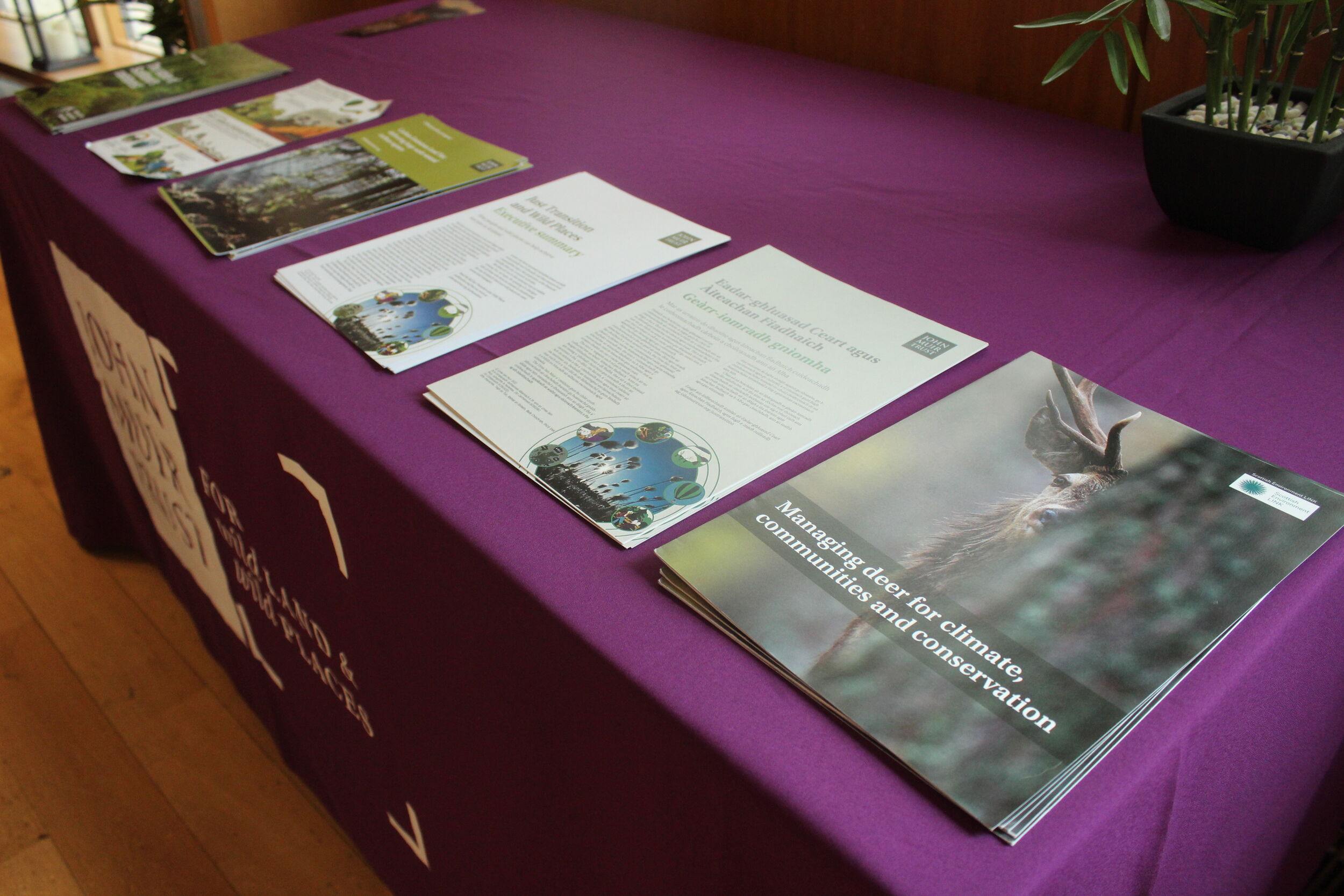 Campaigning for change