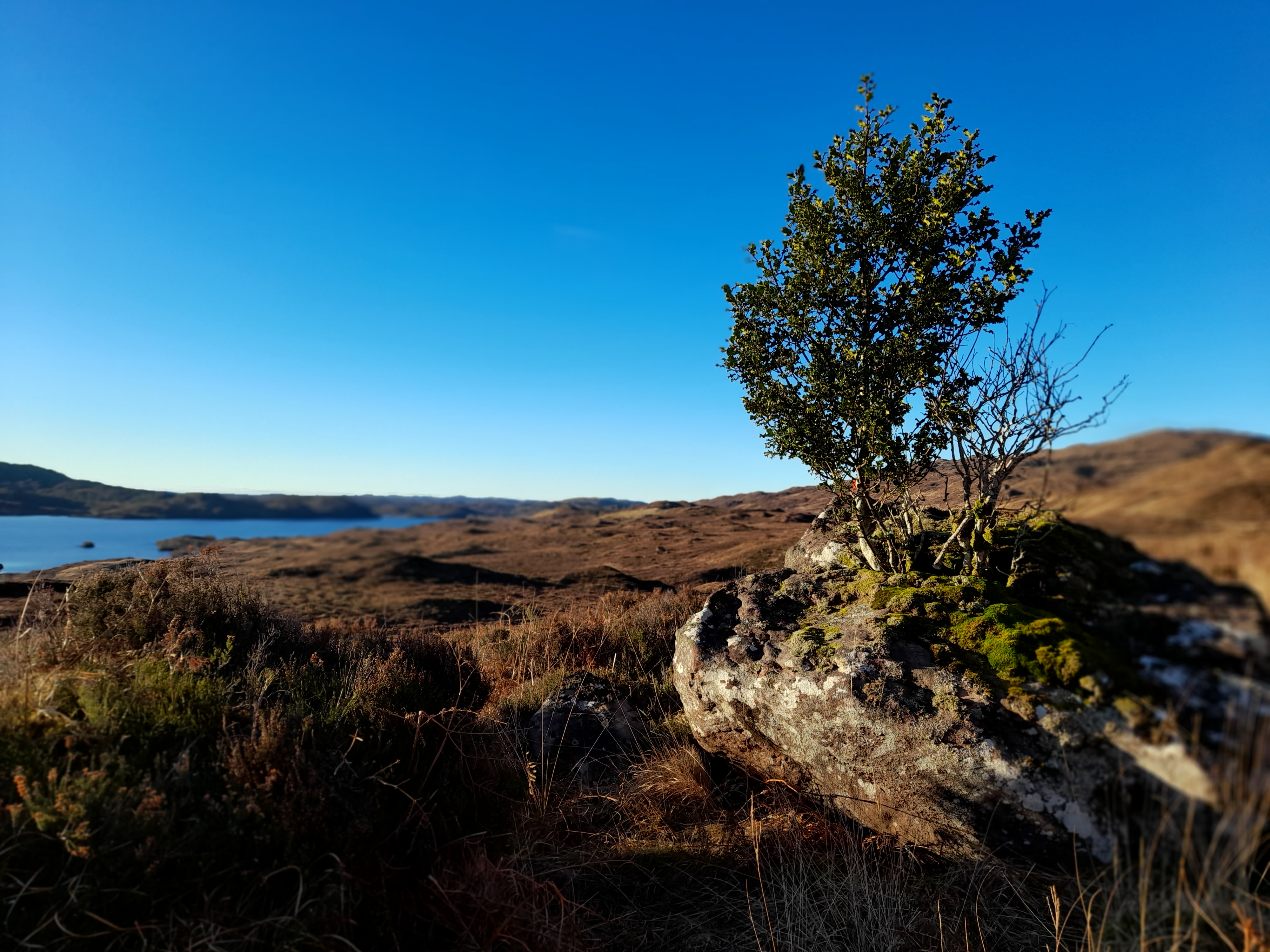 Field Notes: Fruitful visit