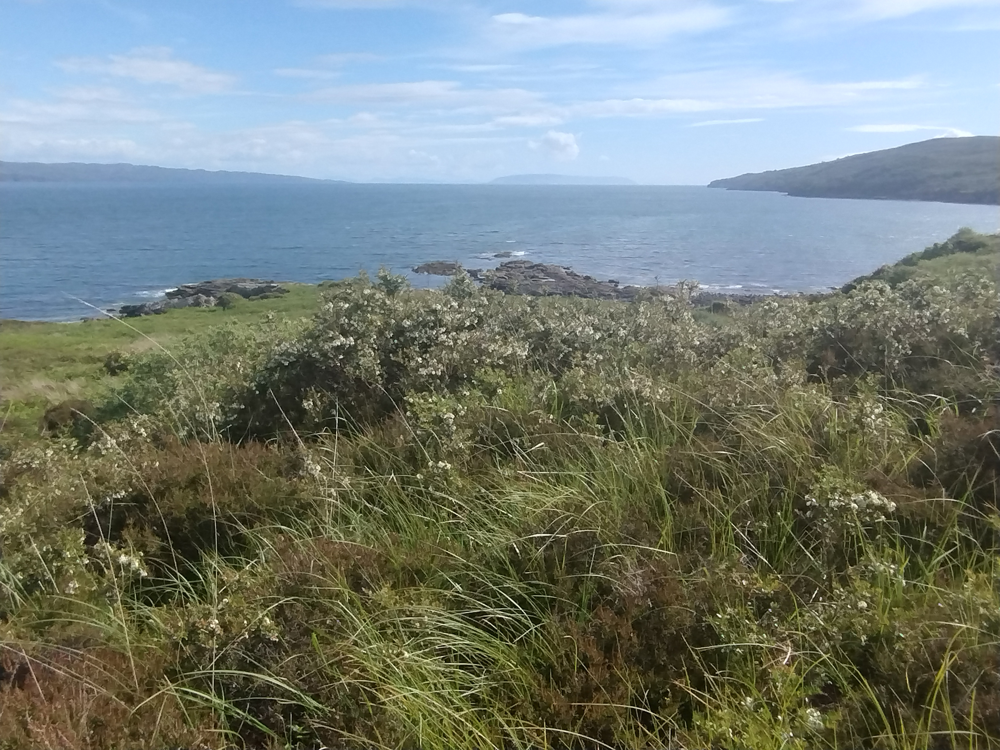 Field Notes: A prickly subject